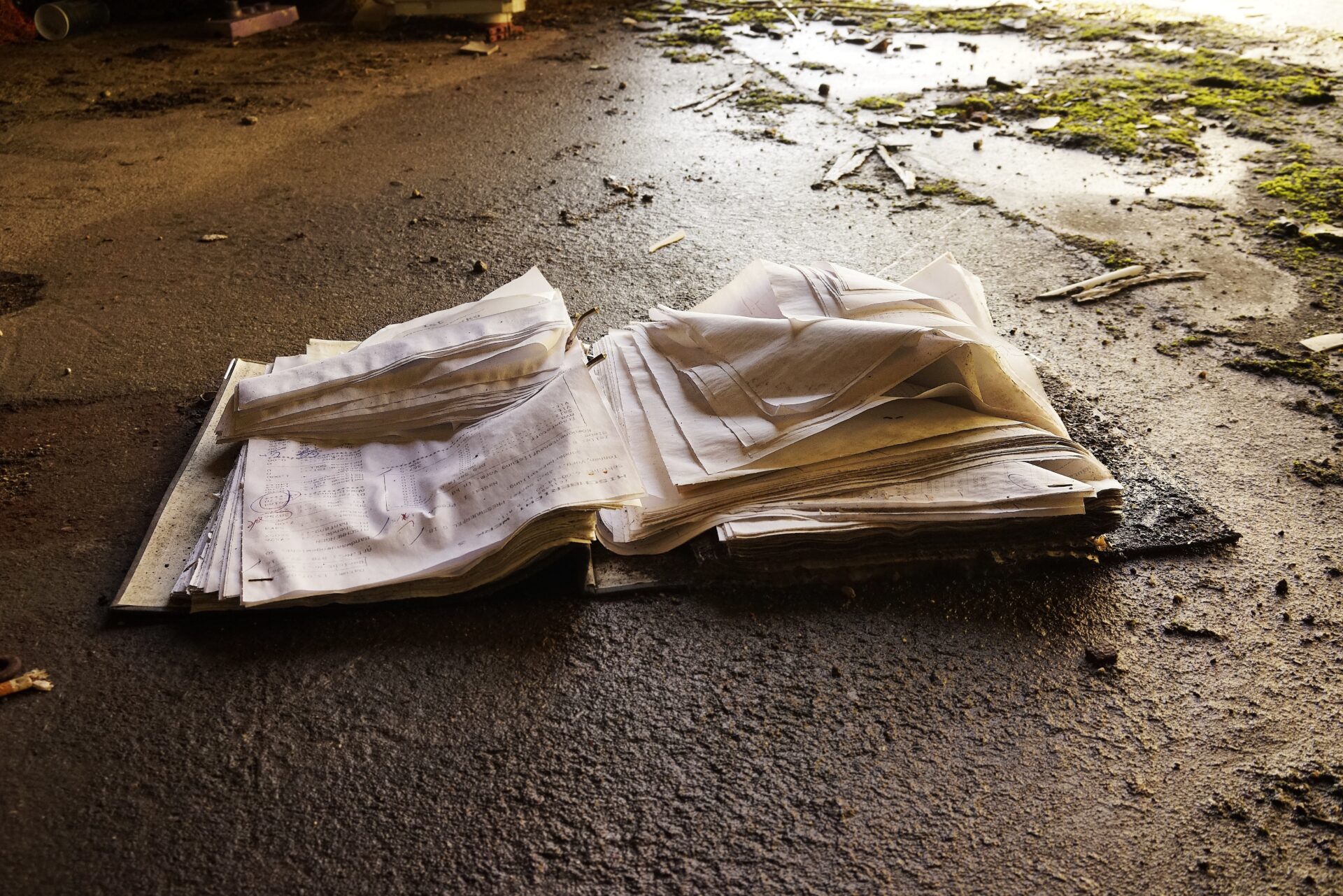 How to Recover Personal Items After Water Damage